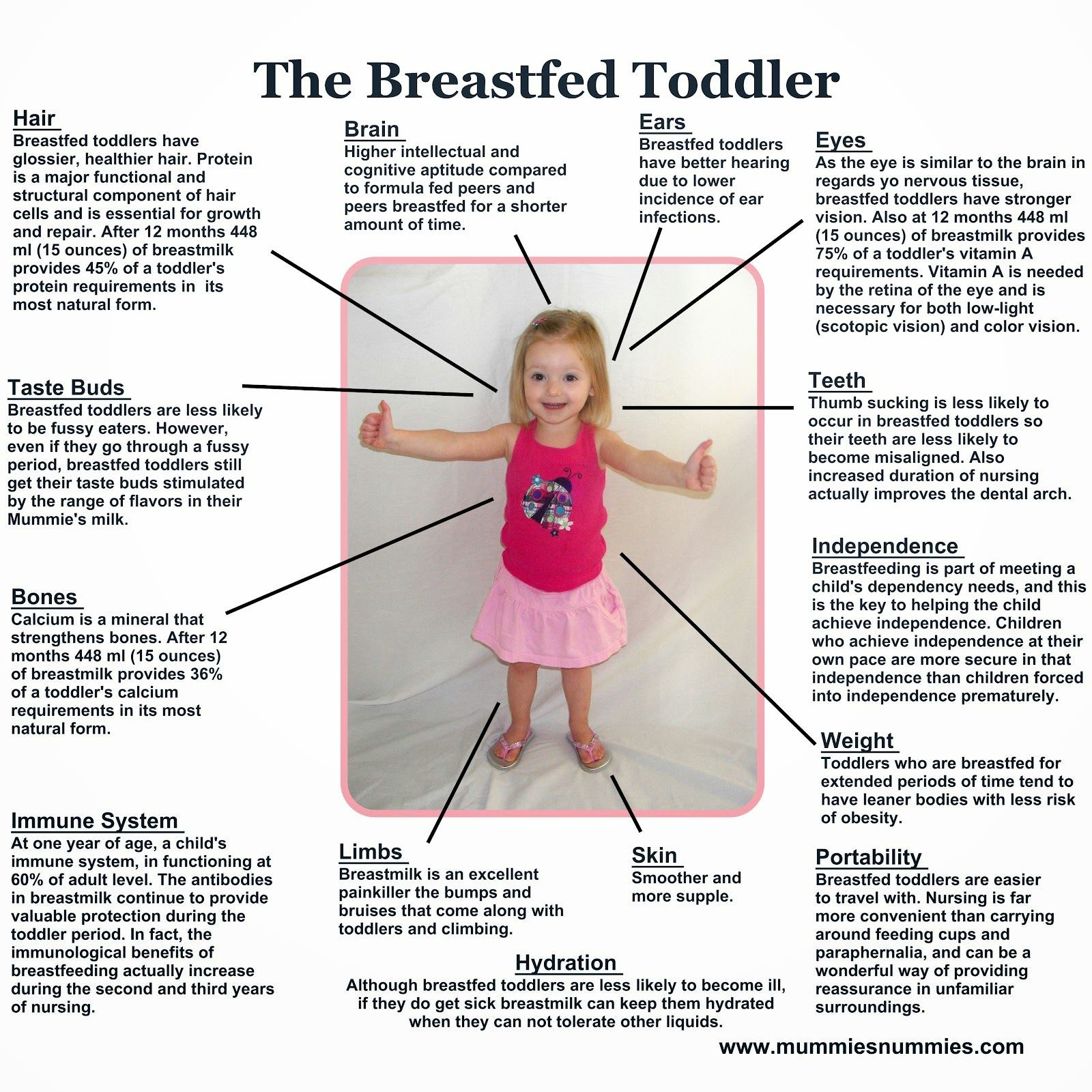 Breastfeeding Past Infancy: Do You Know The Benefits? – The Real ...